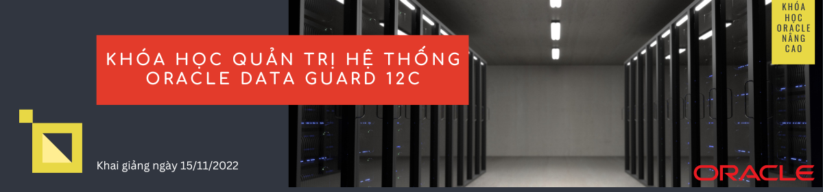 Khoá học Luyện thi chứng chỉ Oracle Certified Professional (OCP) 19c